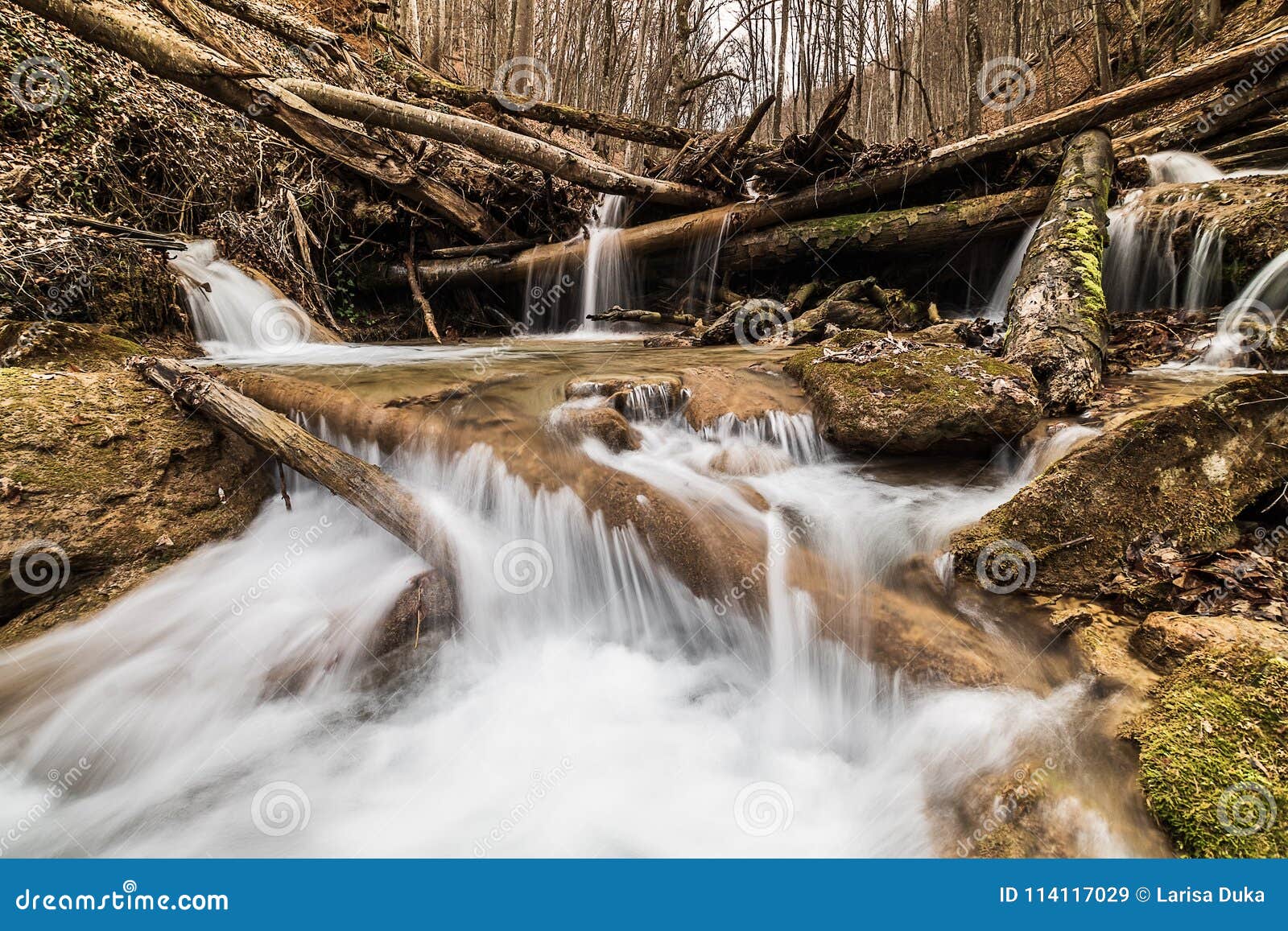 Forest Waterfall and Rocks in the Mountain Forest. Stock Image - Image ...