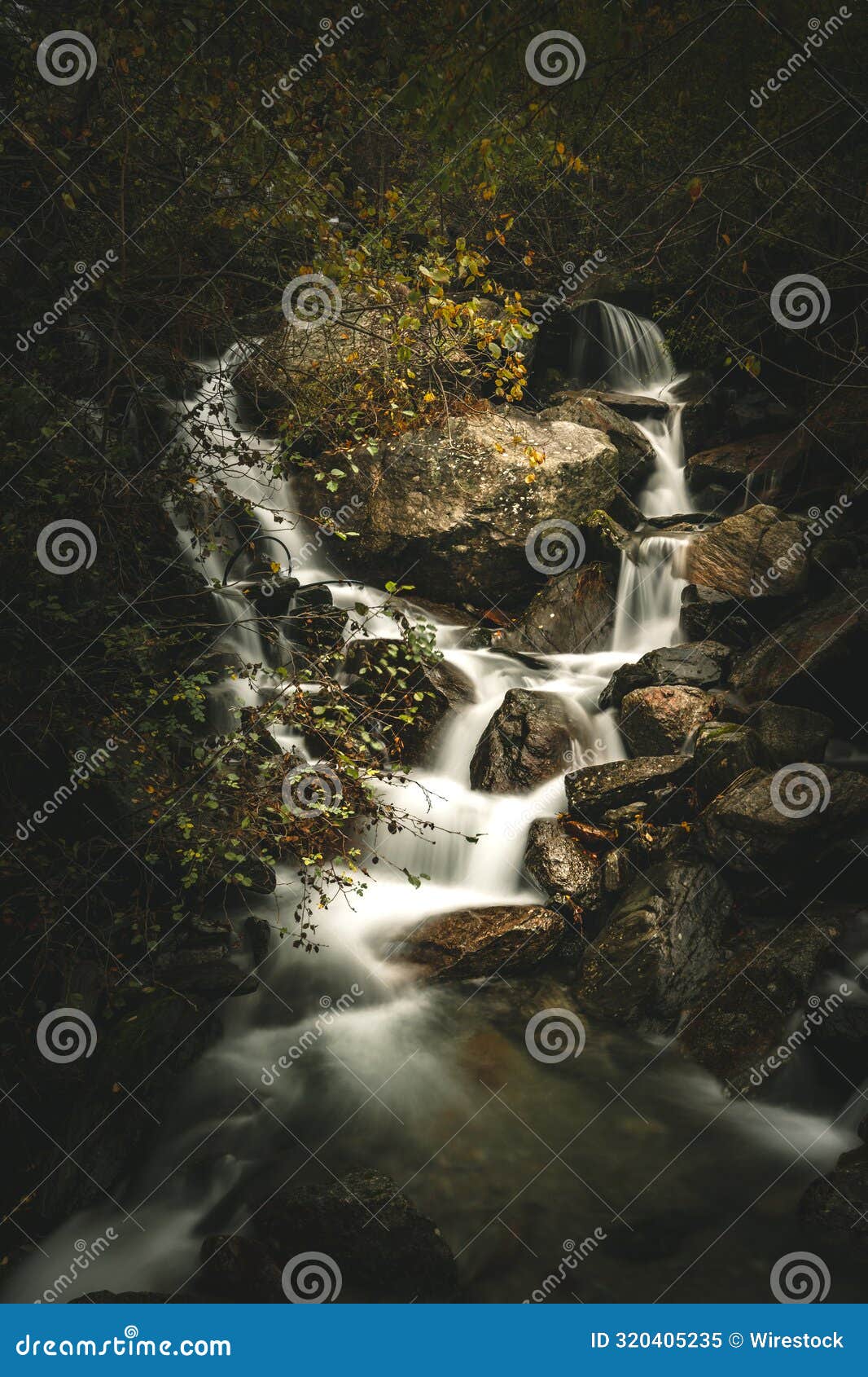 Forest Waterfall with Rocks and Trees in Nature Stock Image - Image of ...