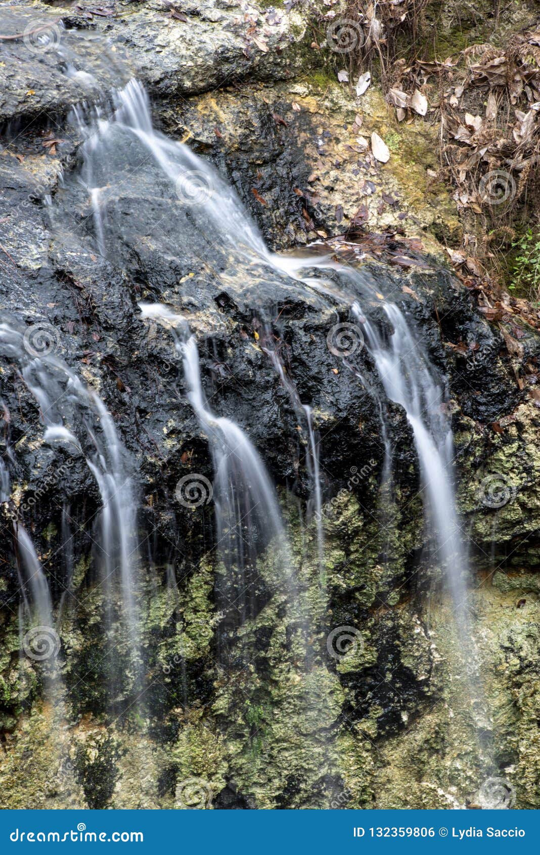 Forest waterfall stock photo. Image of rocks, boulders - 132359806