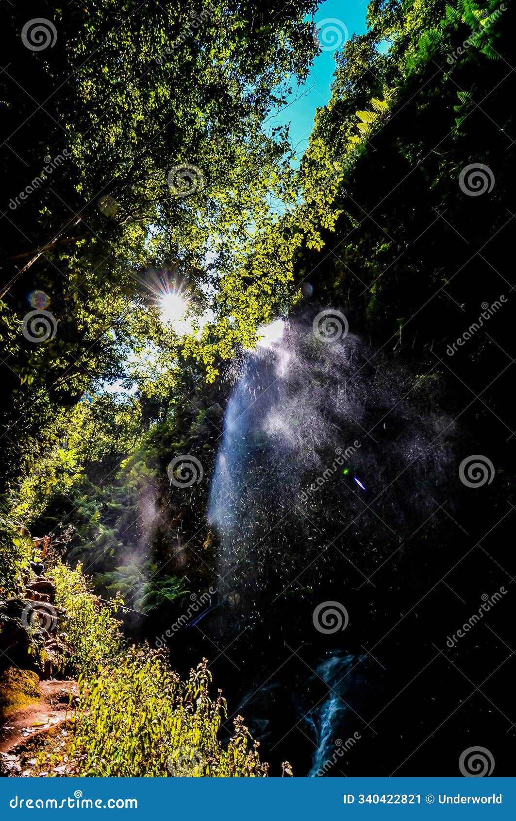 A Forest with a Waterfall and a Sun Shining through the Trees Stock ...