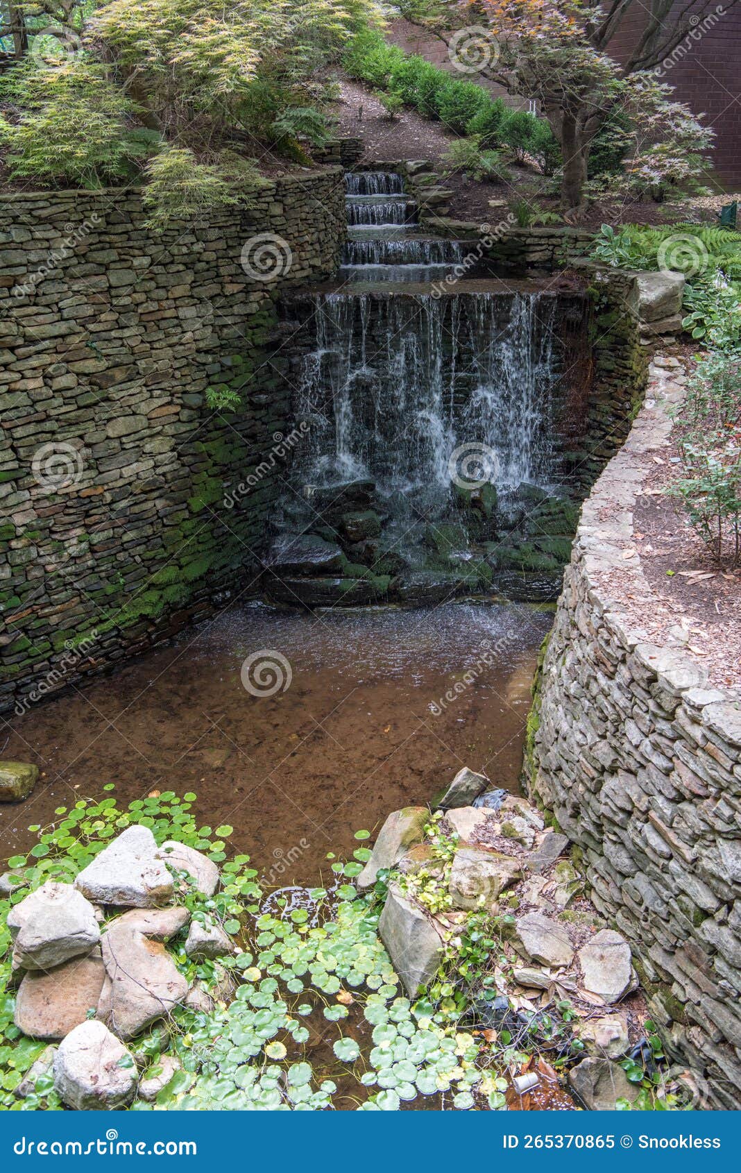 Forest waterfall stock image. Image of lamp, exterior - 265370865