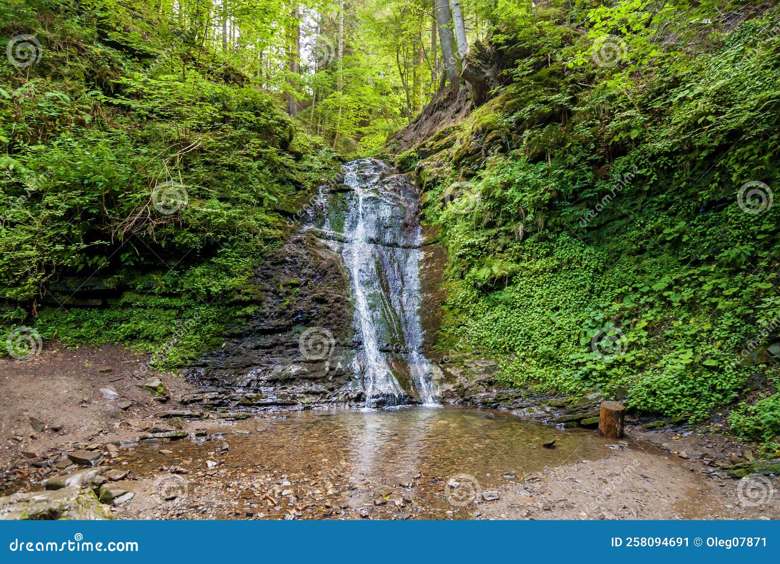 Forest Waterfalls in the Mountains Stock Image - Image of nature ...