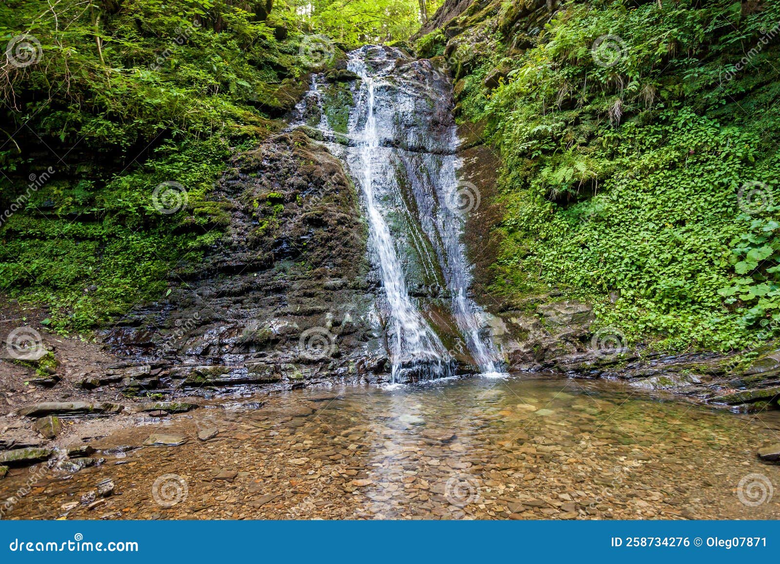 Forest Waterfalls in the Mountains Stock Photo - Image of beauty, creek ...
