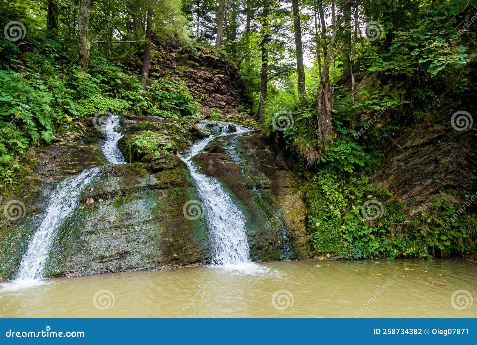 Forest Waterfalls in the Mountains Stock Photo - Image of moss, beauty ...