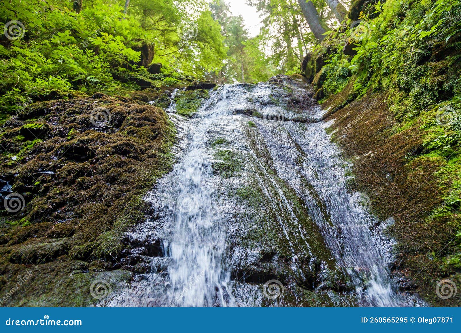 Forest Waterfalls in the Mountains Stock Image - Image of flow, cascade ...