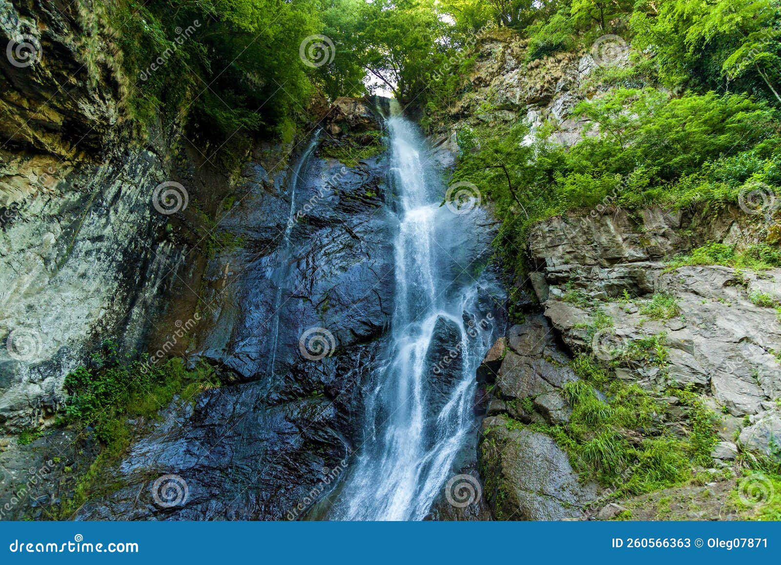 Forest Waterfalls in the Mountains Stock Image - Image of green ...