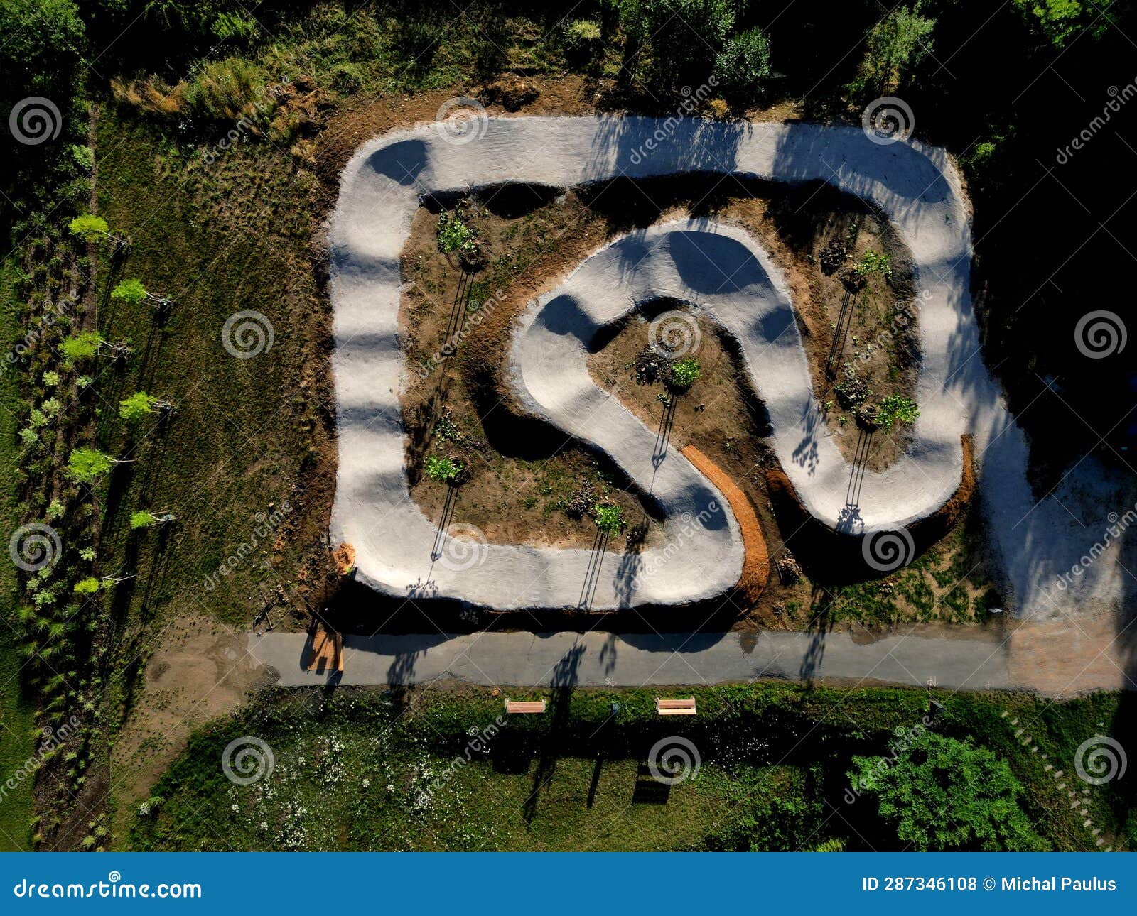 Forest in Which There is a Track for Bicycles Trail Tilted Bends One ...