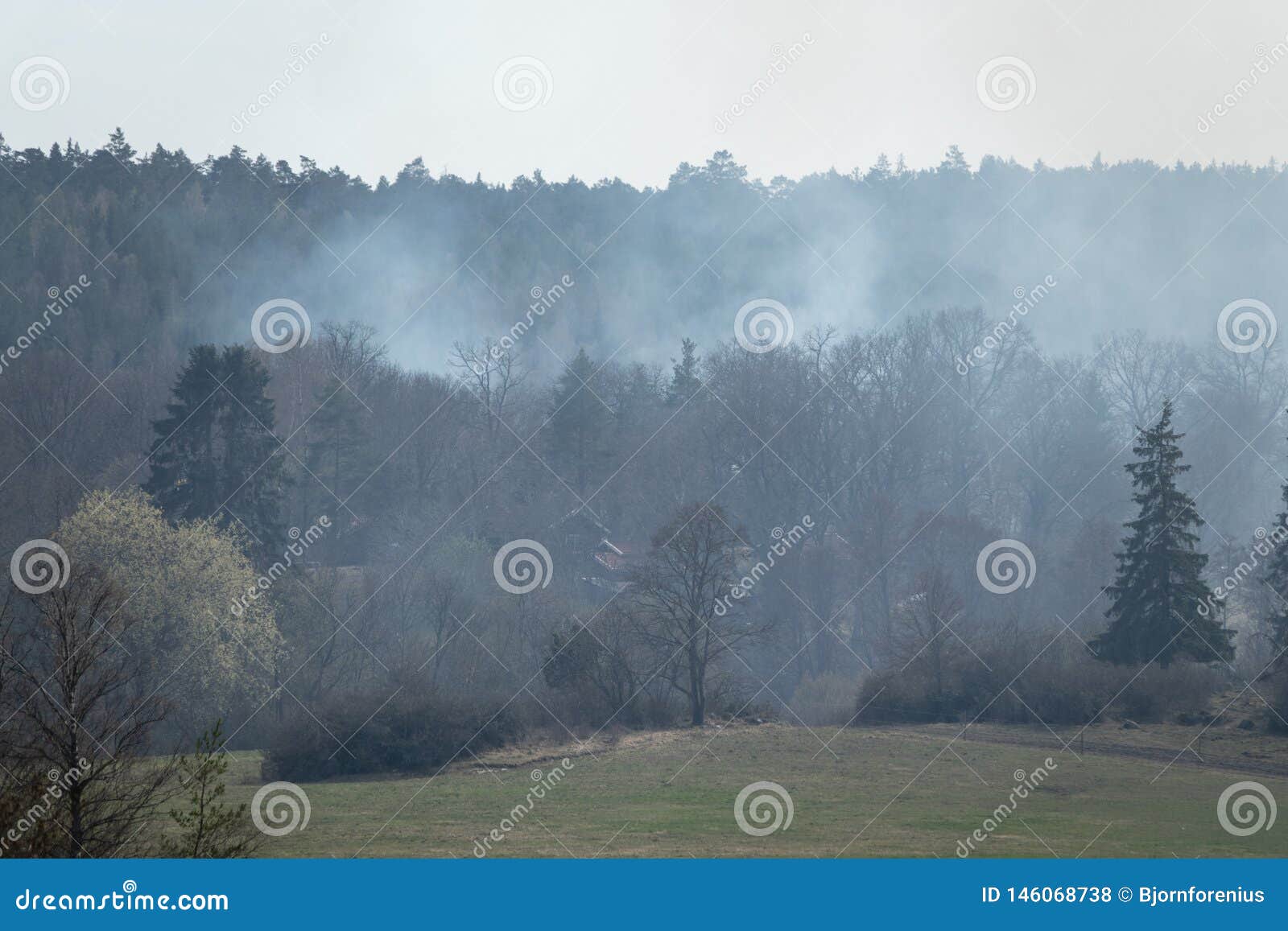 Forest Wild Fire, Nature Disaster. Stock Photo - Image of danger, fire ...