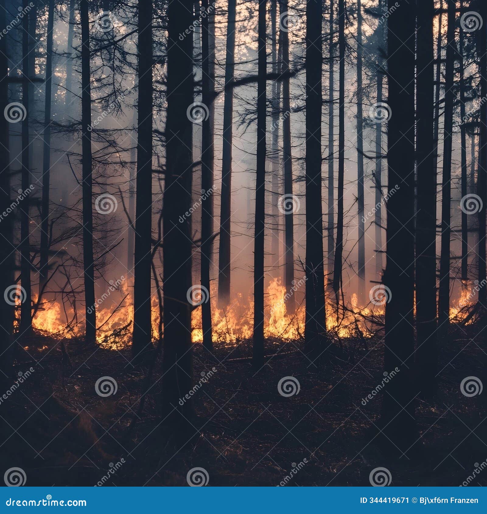 Forest Wildfire Burning Destruction Trees Flame Disaster Emergency ...