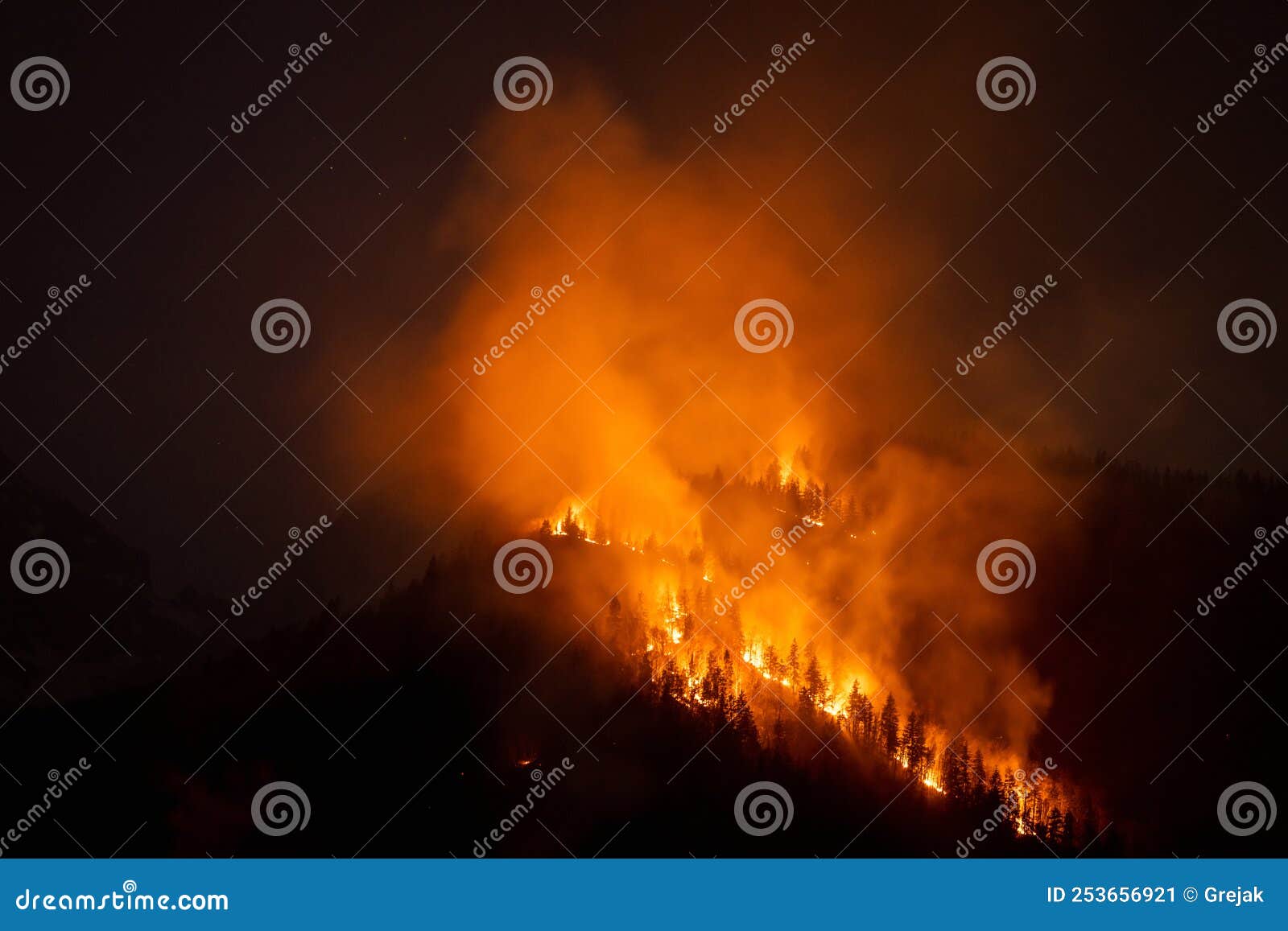 Forest wildfire at night stock image. Image of problem - 253656921