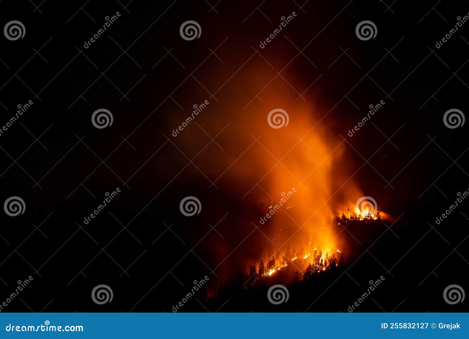 Forest wildfire at night stock image. Image of blaze - 255832127