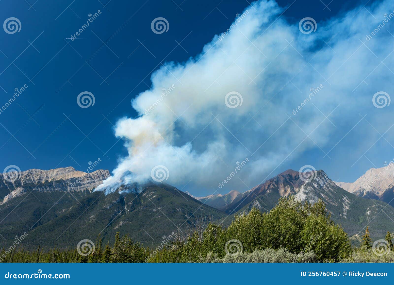 Forest Wildfire and Smoke on the Side of a Mountain Stock Image - Image ...