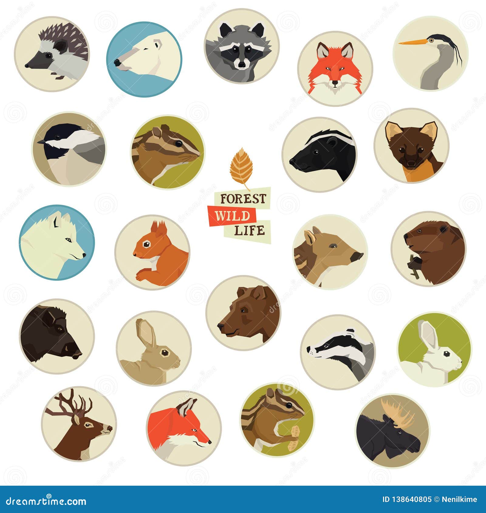Forest Wildlife Animals Round Frames Stock Vector - Illustration of ...
