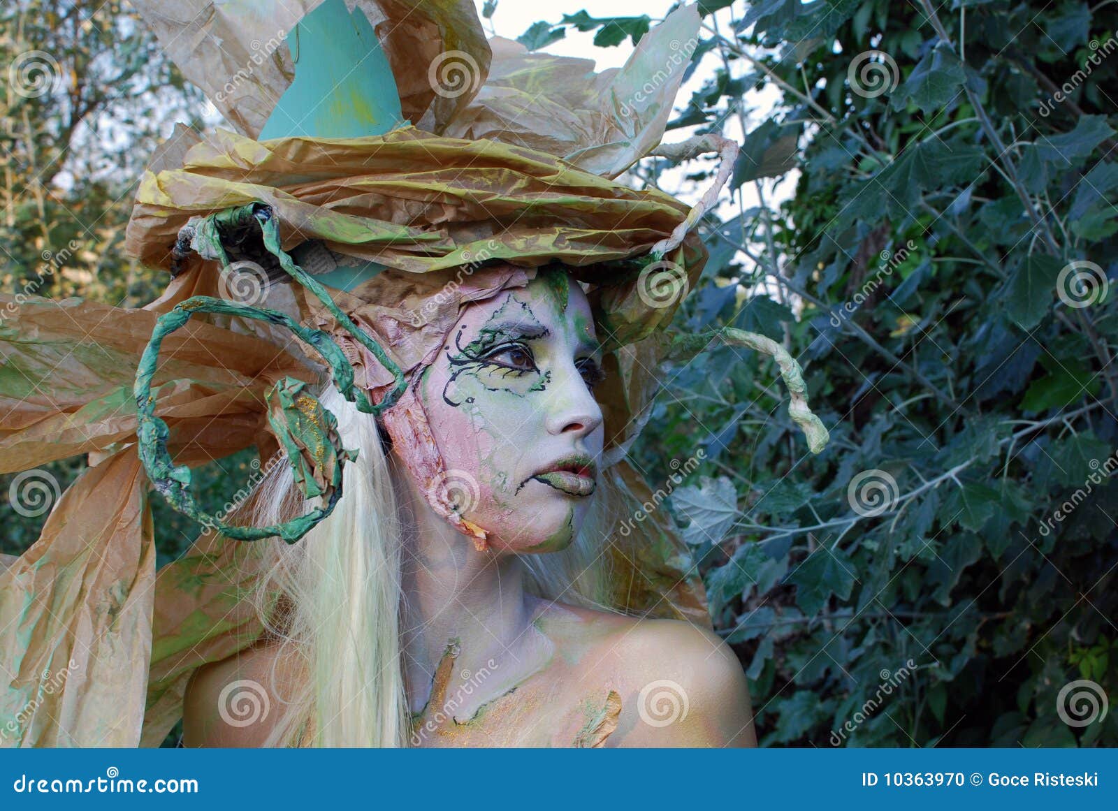 Forest willow portrait stock photo. Image of colourful - 10363970