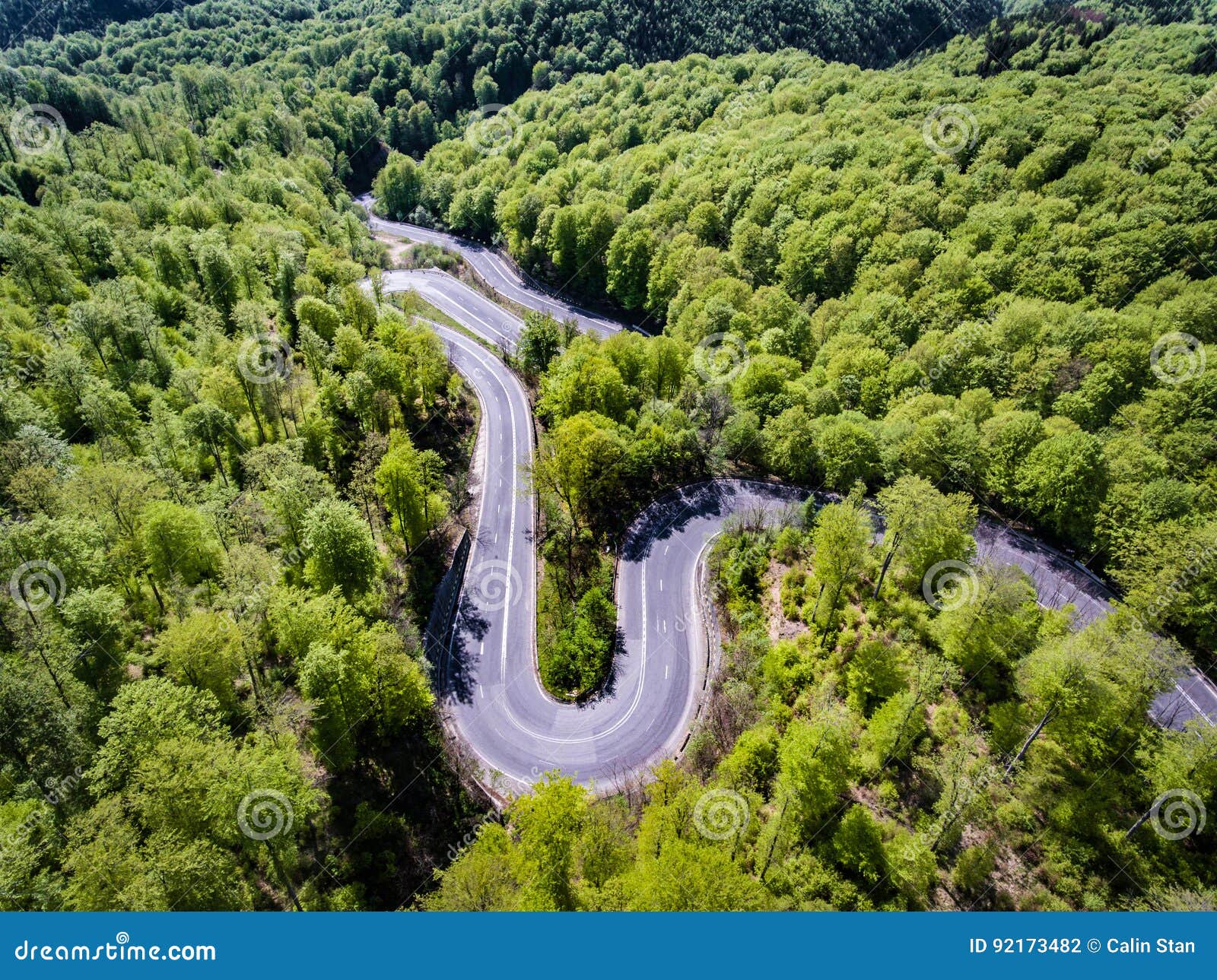 Forest winding road stock photo. Image of forest, aerial - 92173482