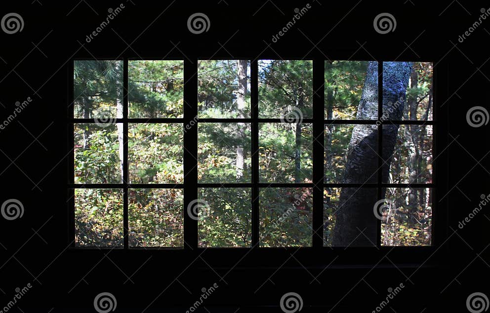 A Forest in a Window stock image. Image of black, outdoor - 102905483