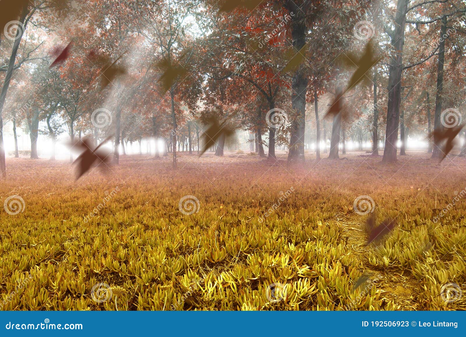 Forest with windy weather stock image. Image of life - 192506923