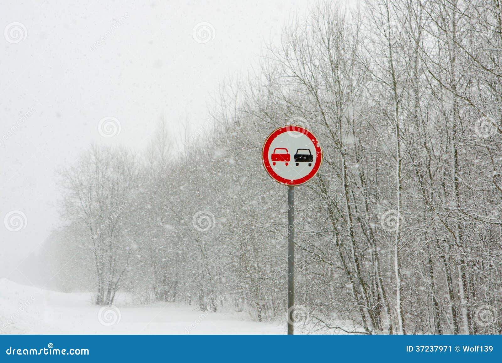 Forest in Winter and Traffic Sign Stock Image - Image of outdoors, stem ...