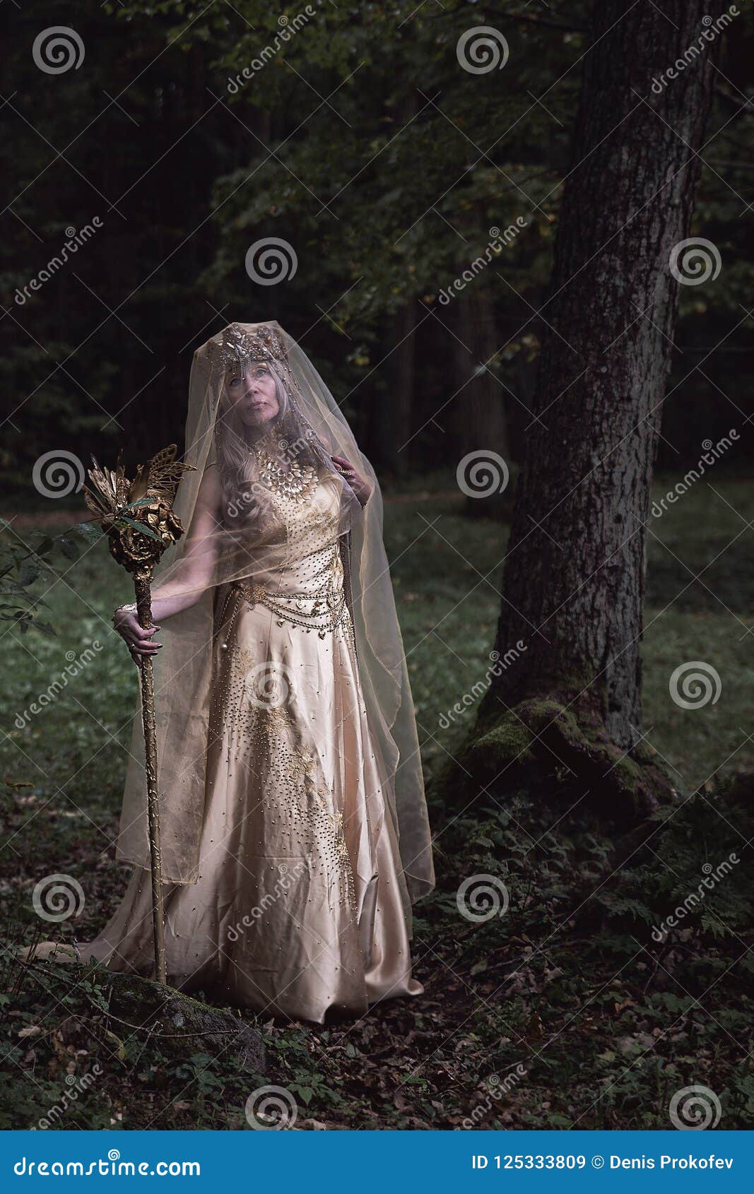 A Forest Witch in a Dark Park Stock Image - Image of concept, evil ...