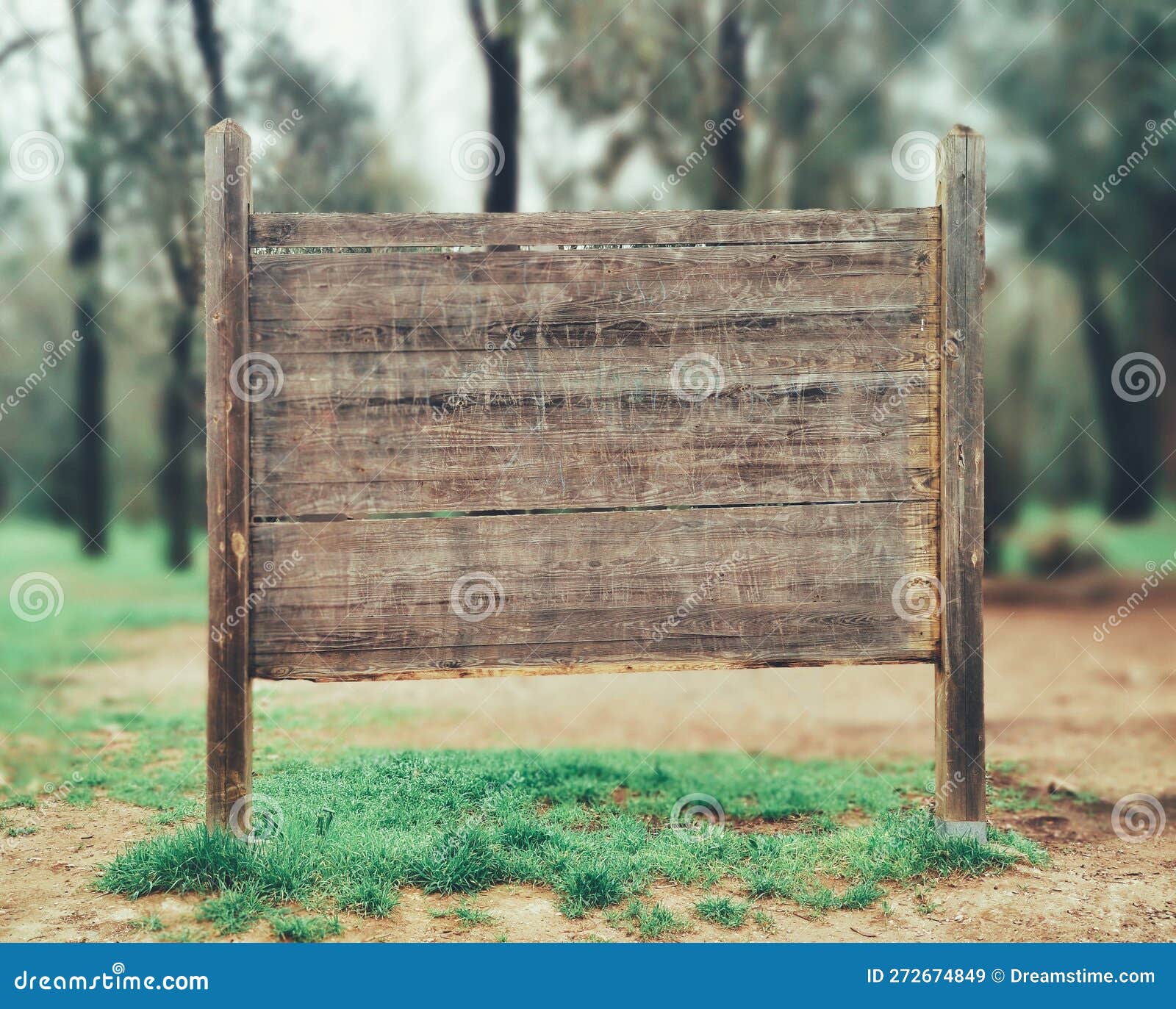 Forest wood sign stock image. Image of owner, privacy - 272674849