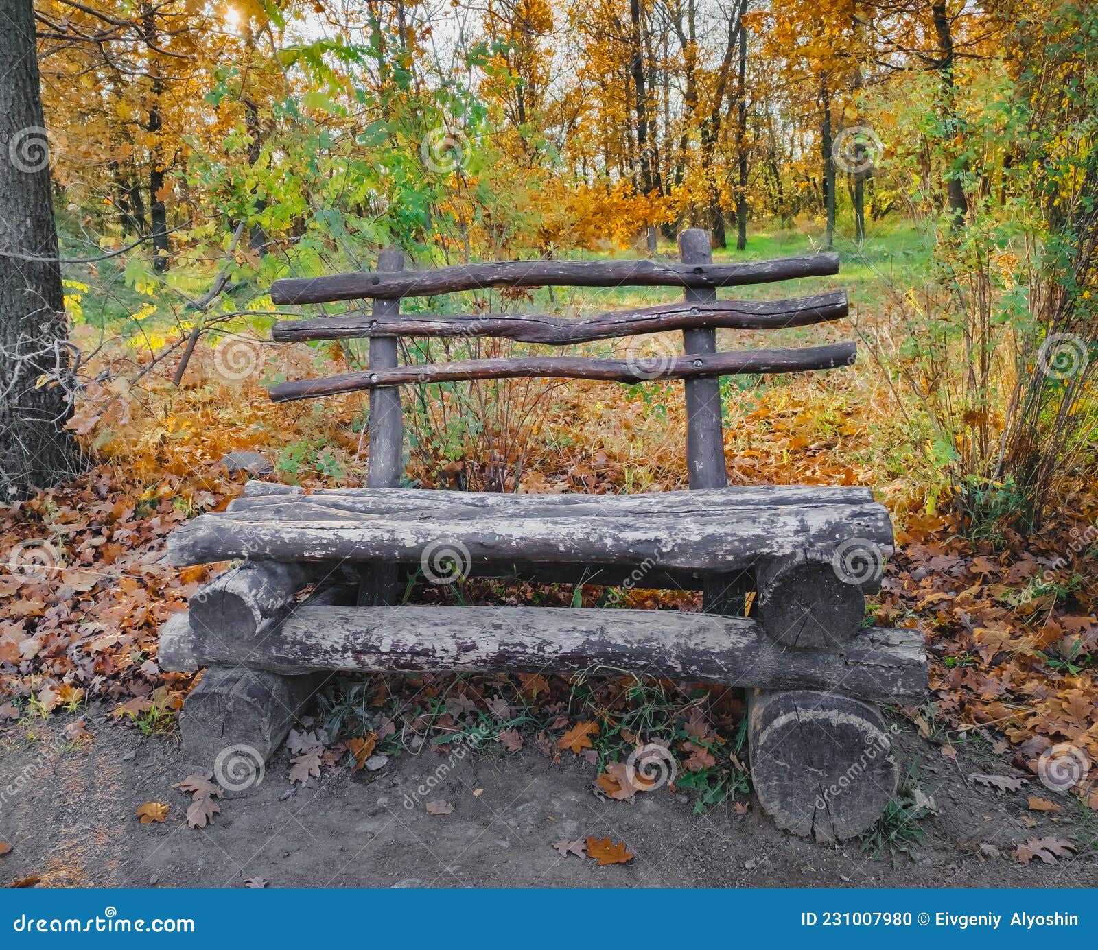 Forest Wooden Bench Scene. Wooden Bench in Deep Forest. Wooden Bench in ...