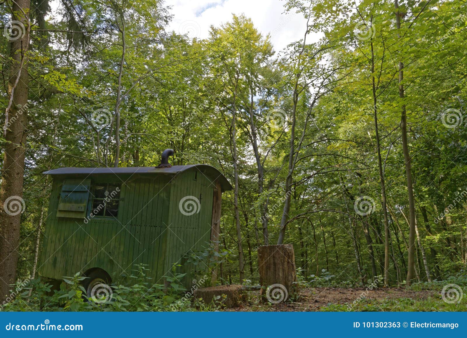 Forest work place stock image. Image of hills, forest - 101302363