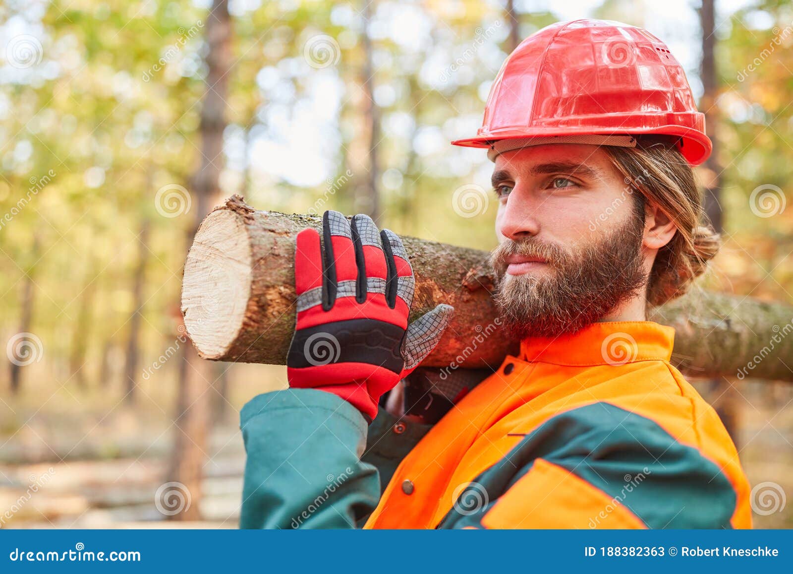 Forest Worker while Carrying Tree Trunk Stock Image - Image of lumber ...