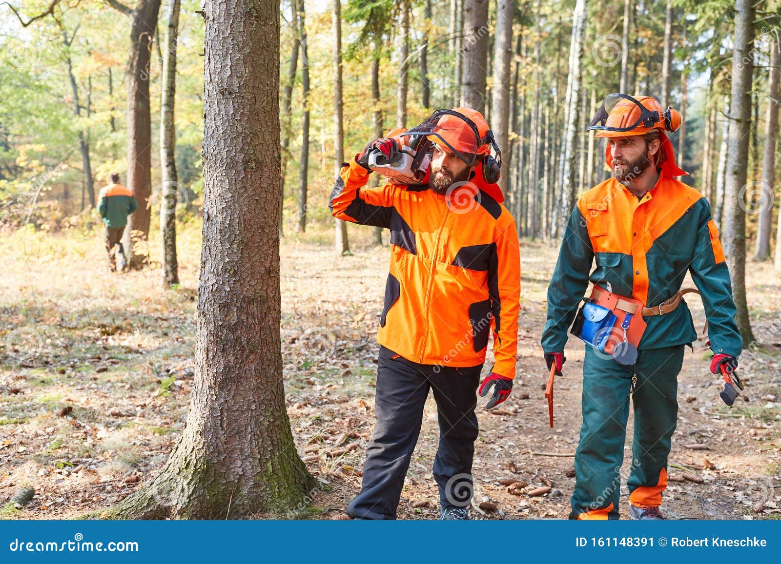 Forest Worker with Chainsaw and Protective Gear Stock Image - Image of ...