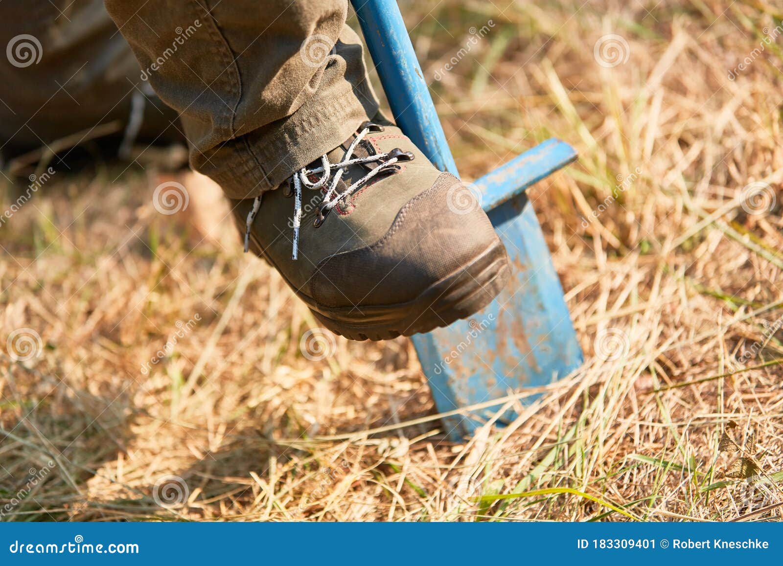 Forester Digs a Planting Hole with a Spade Stock Image - Image of ...