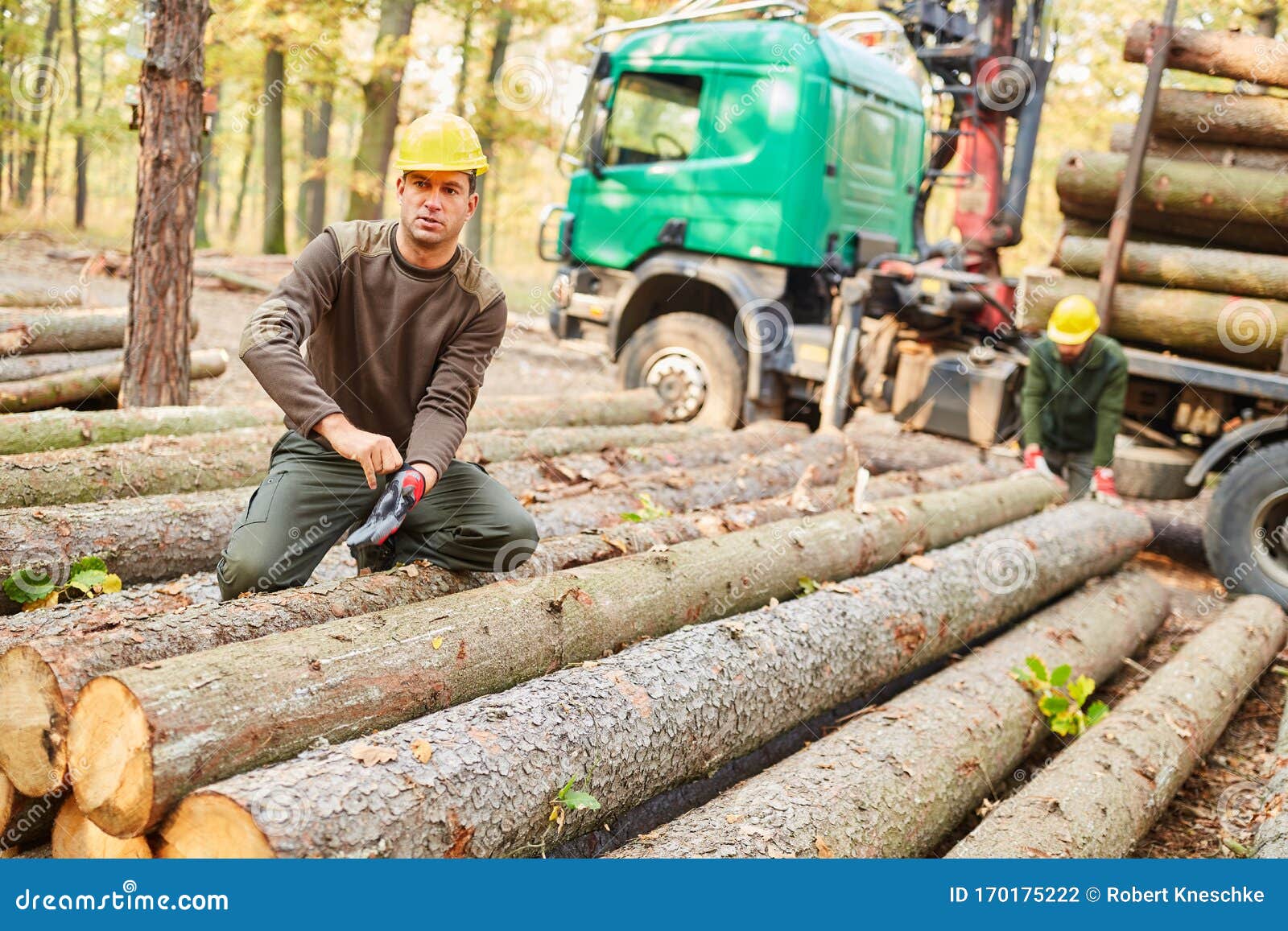 Forest Workers Loading Long Logs Stock Photo - Image of transport ...
