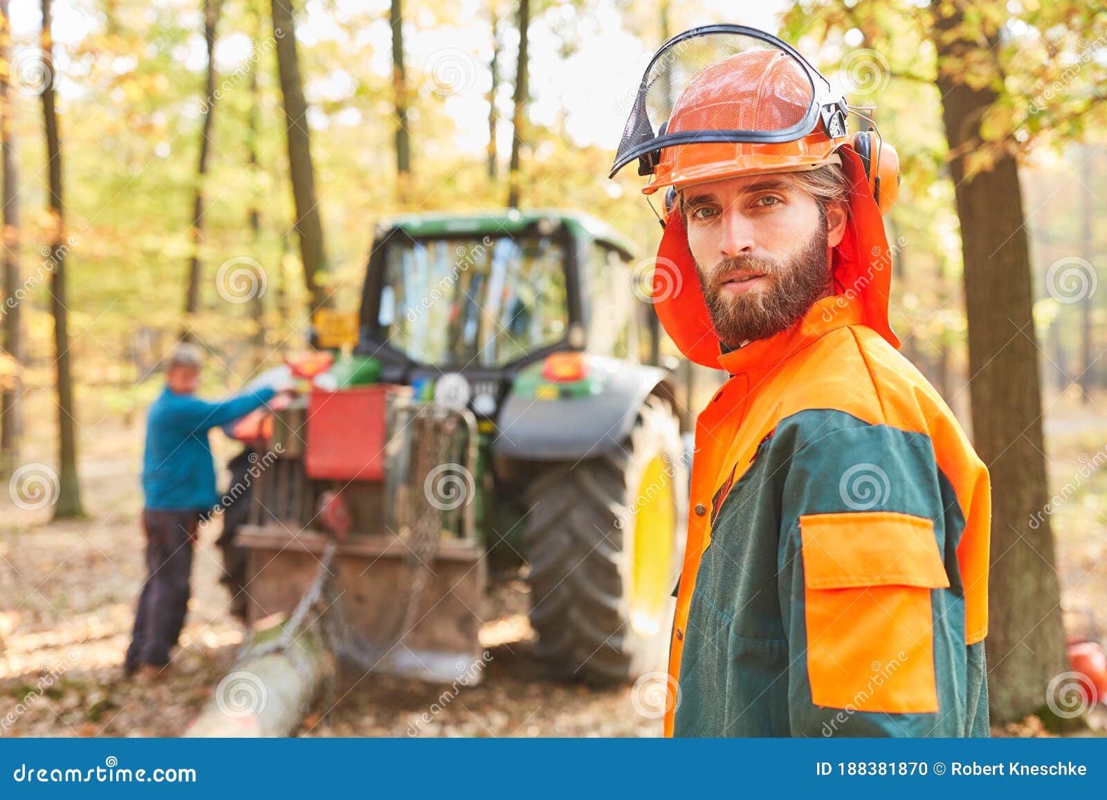 Forest Workers in Protective Clothing when Working on Wood Stock Photo ...