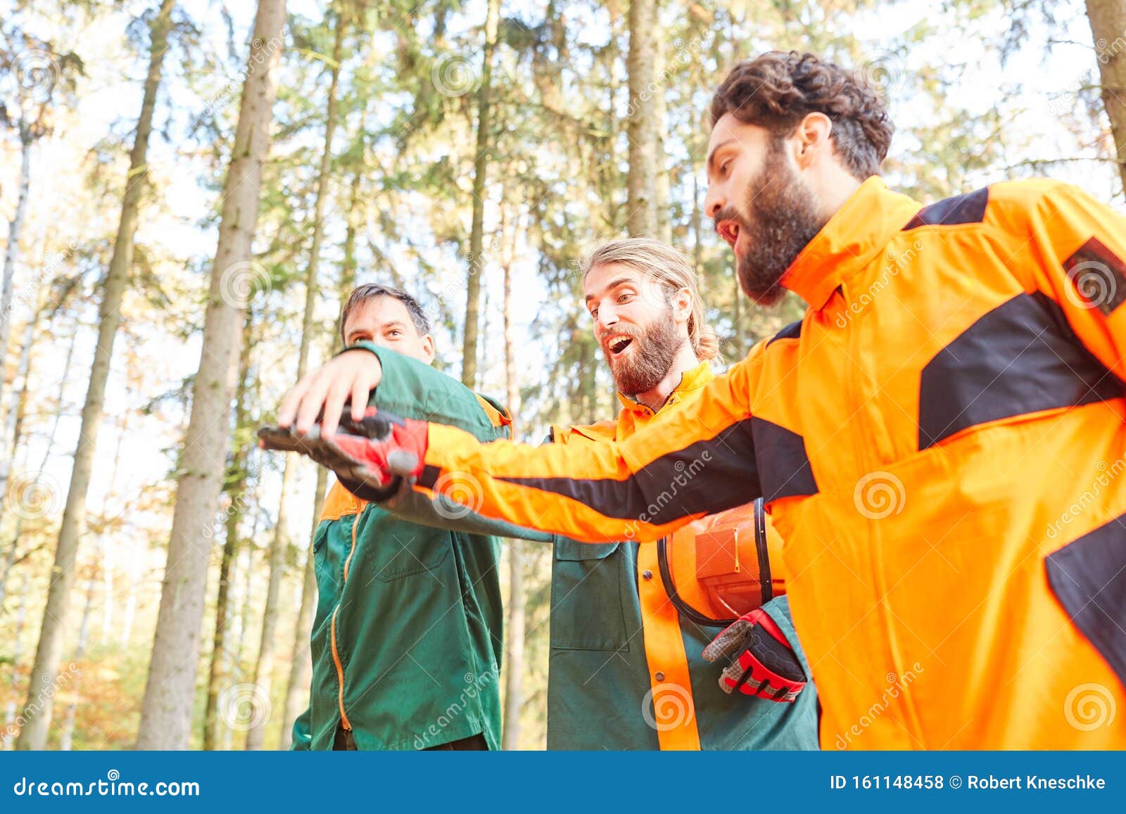Forest Workers Team Stacks Hands for Teambuilding Stock Photo - Image ...