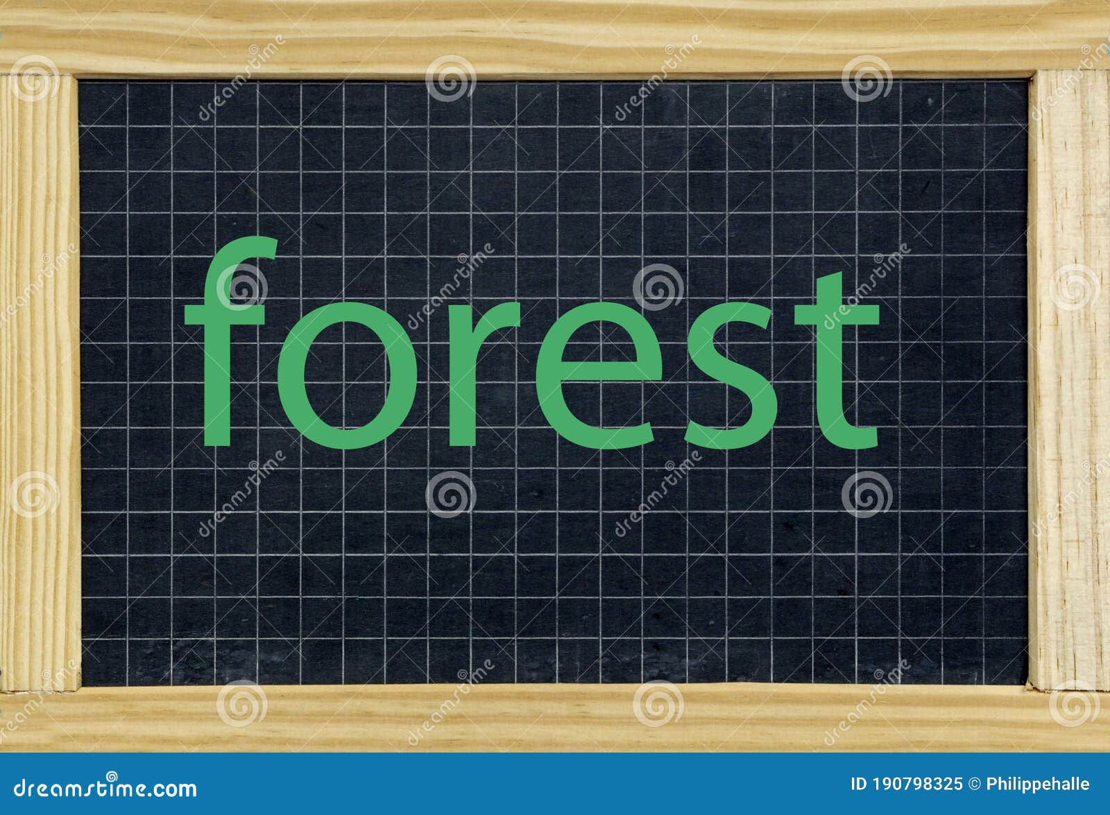 Forest Written on a Chalkboard Stock Image - Image of grey, written ...