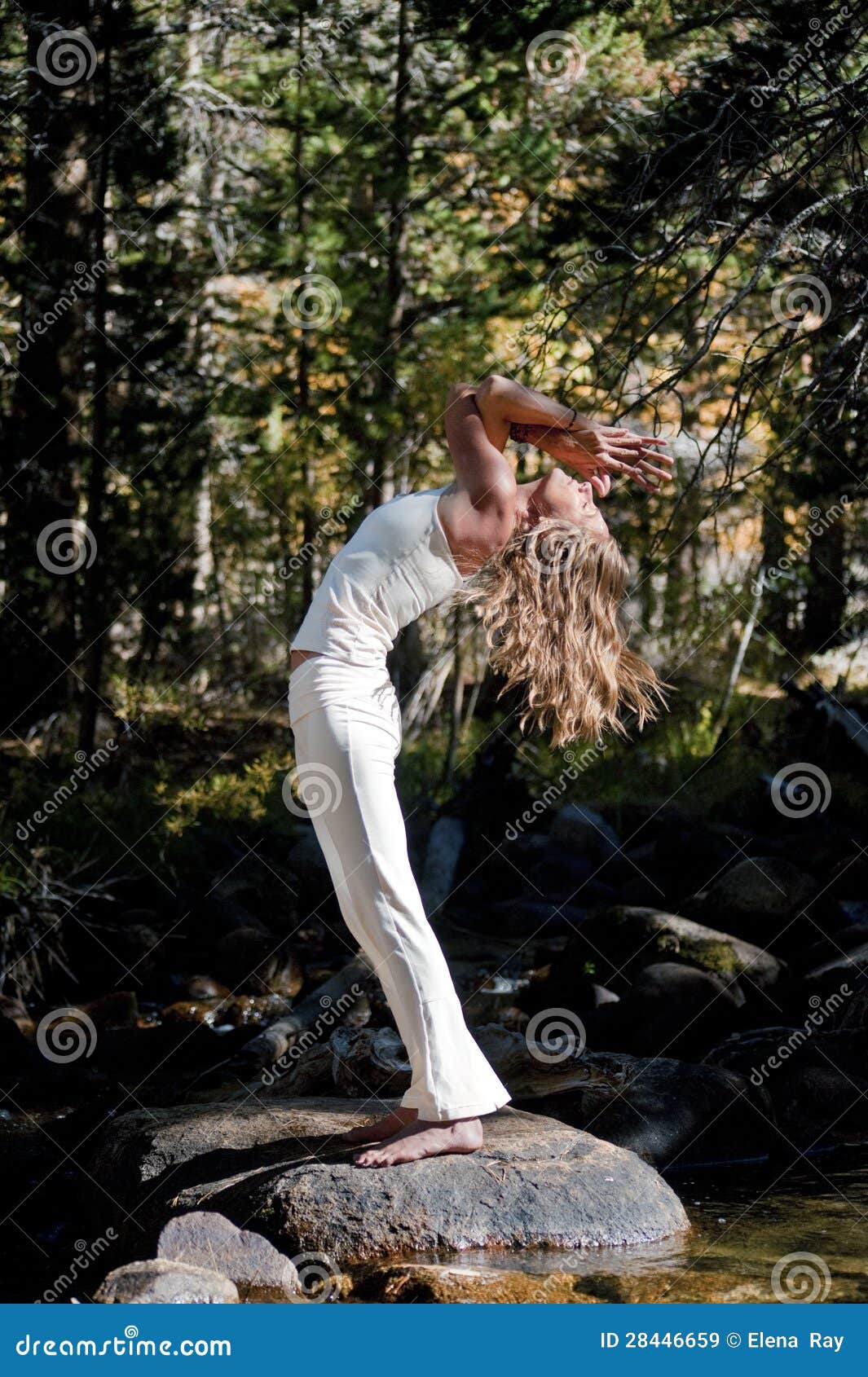 Forest Yoga Sacred Woman stock image. Image of pray, fitness - 28446659