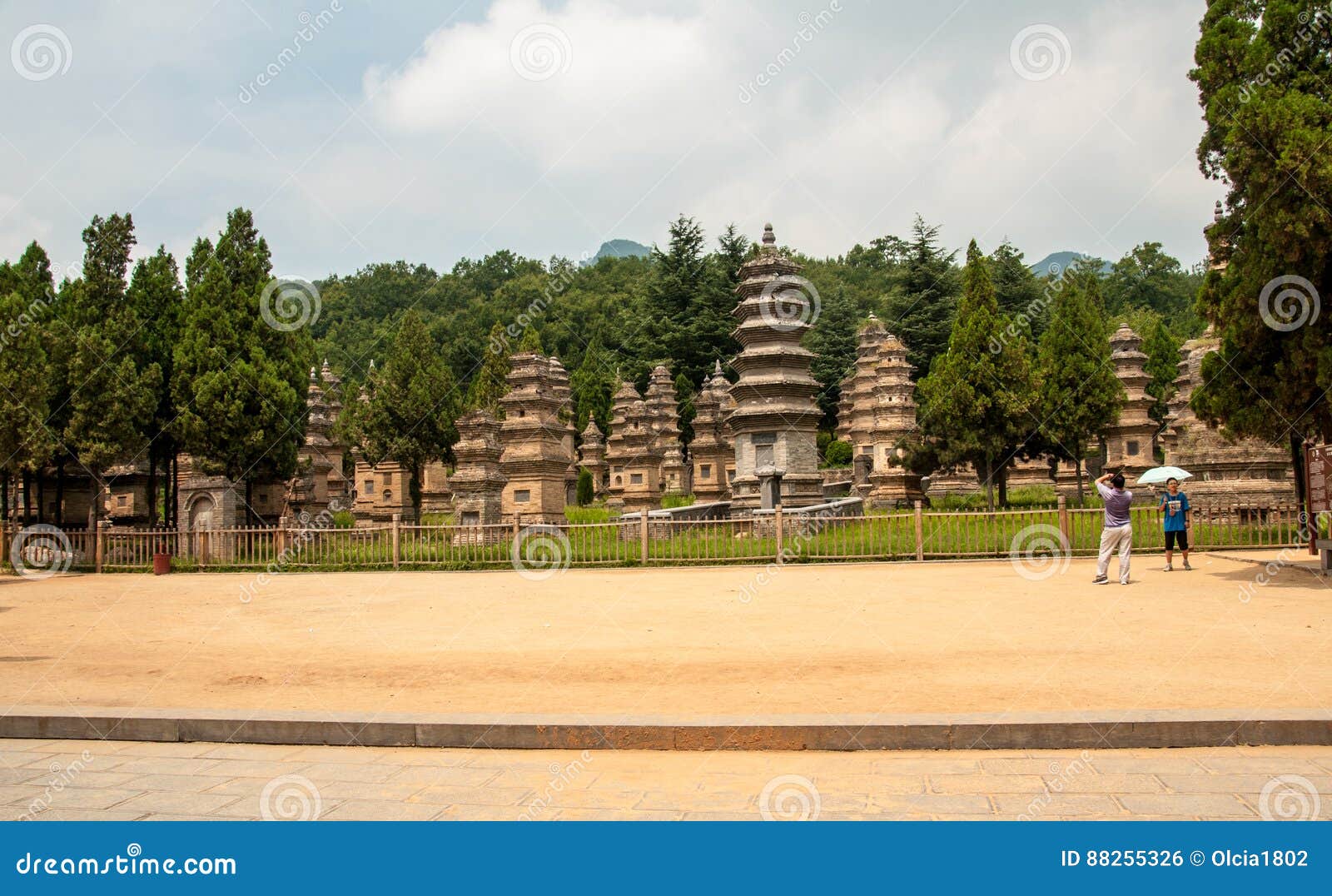 Foresta Del Monastero Di Shaolin Della Pagoda Fotografia Editoriale ...