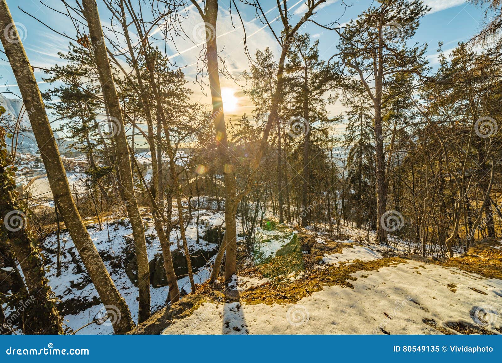Foresta Innevata Sulle Alpi Immagine Stock - Immagine di alpi, nevoso ...