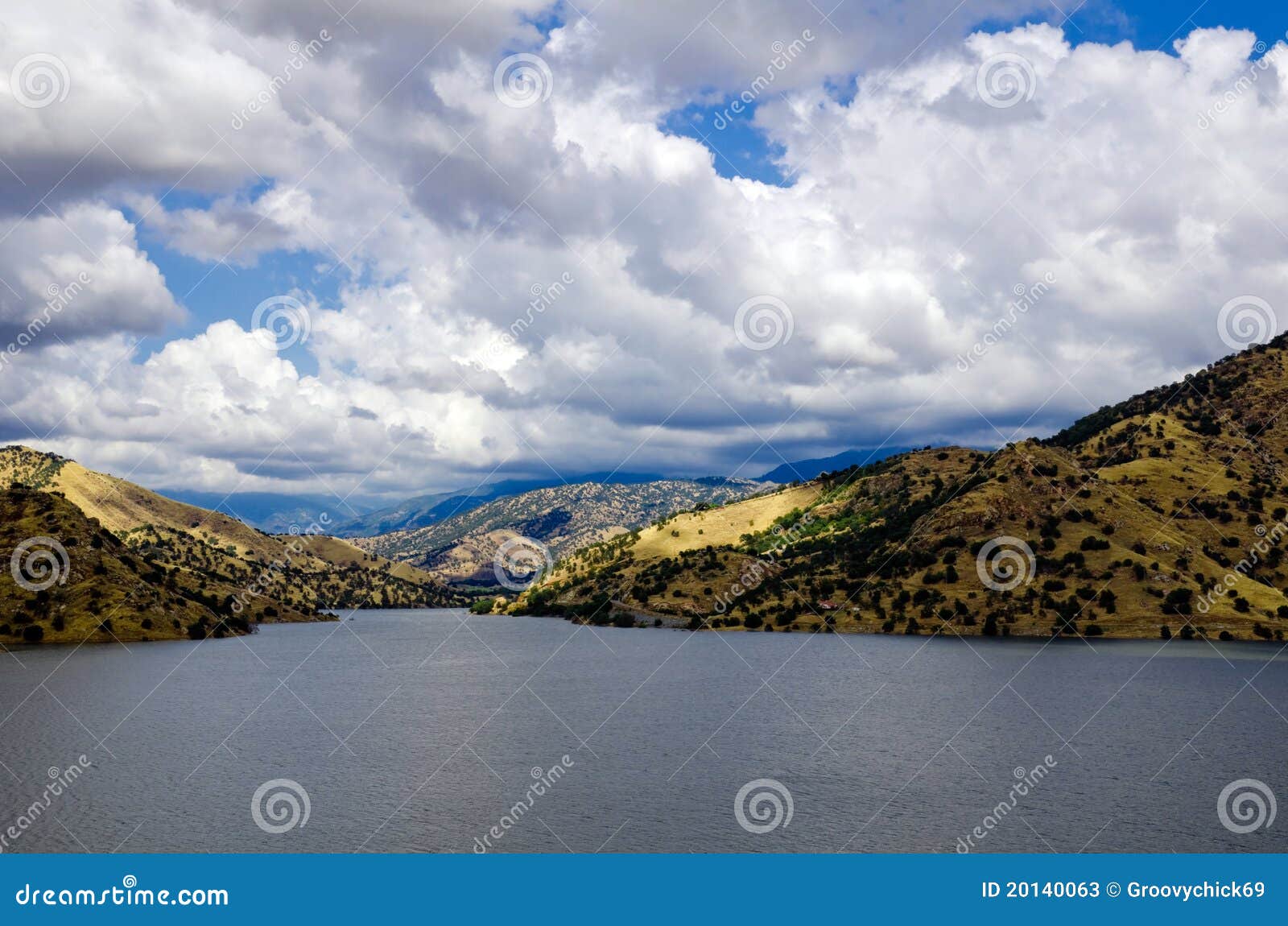 Foresta Nazionale Della Sequoia, California, S.U.a. Immagine Stock ...