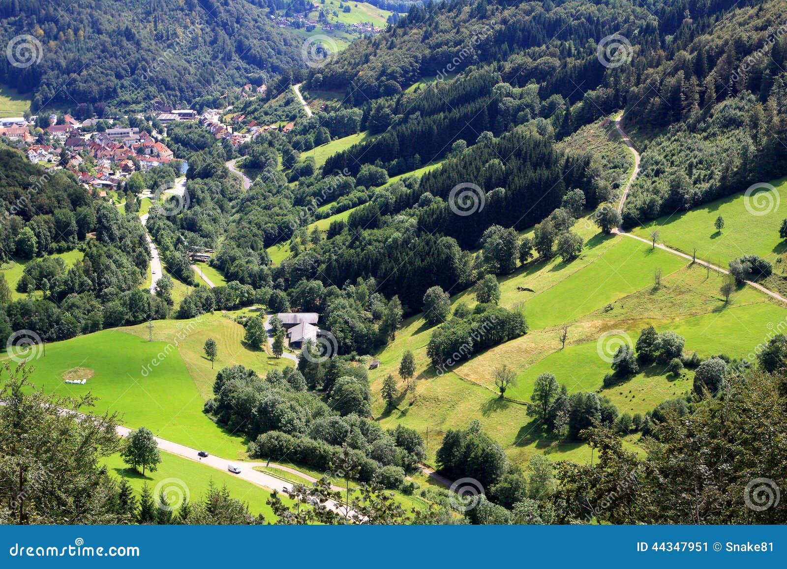 Foresta nera, Germania immagine stock. Immagine di nero - 44347951