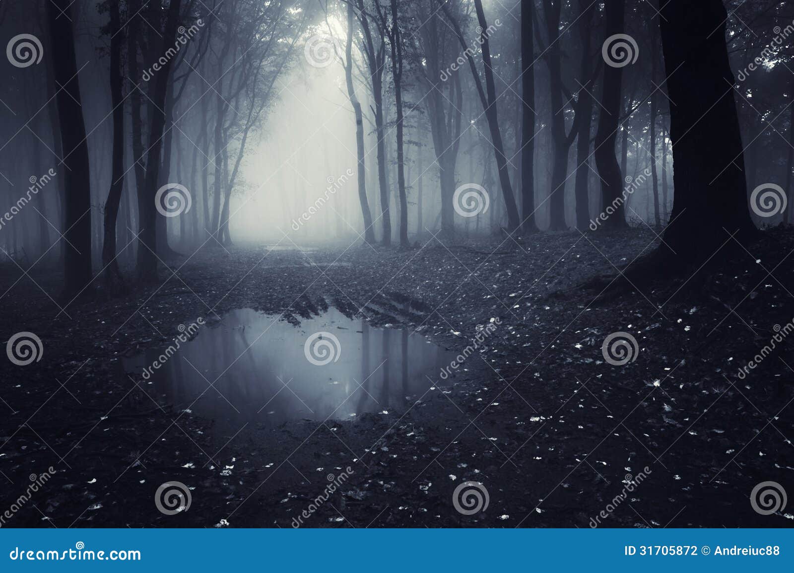 Foresta Scura Con Nebbia Ed Il Lago Blu Fotografia Stock - Immagine di ...