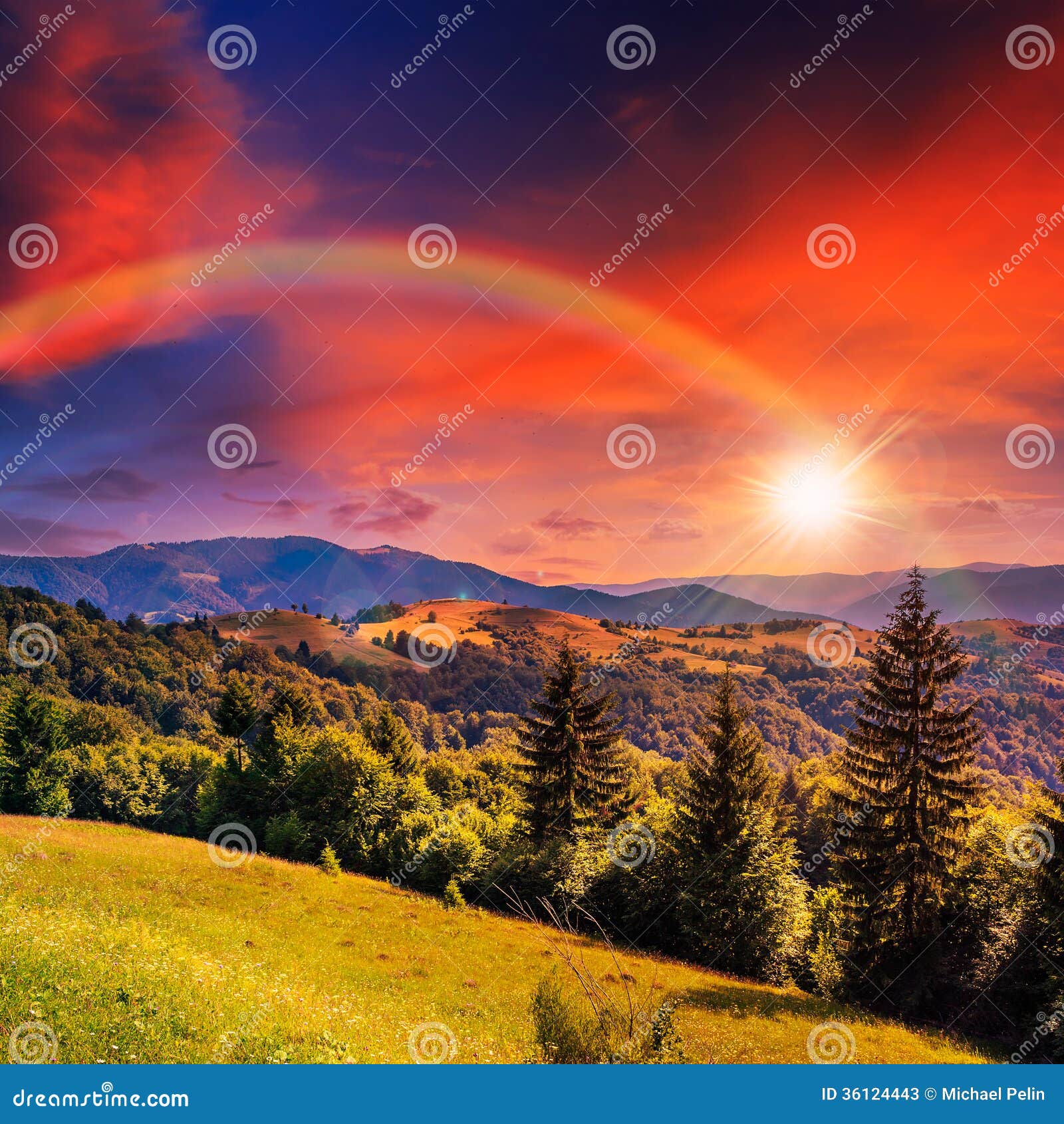 Foresta Su Un Pendio Di Montagna Ripido Immagine Stock - Immagine di ...