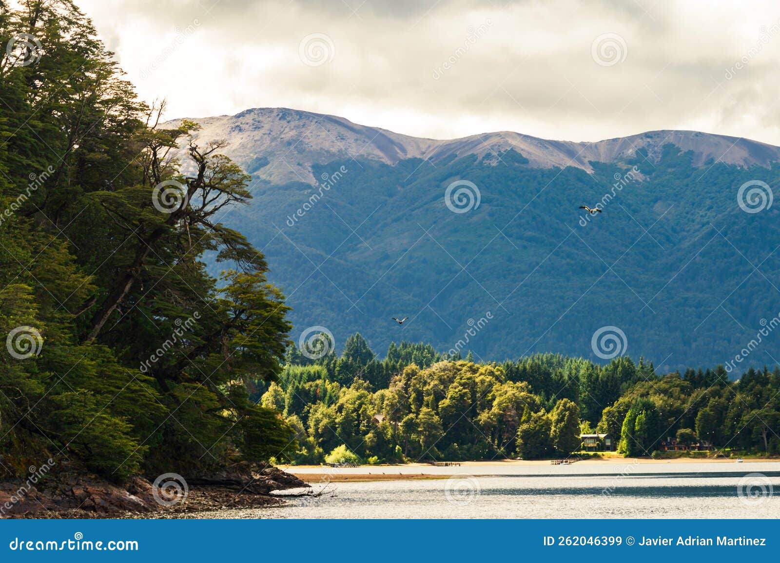 Forested Coast with Trees about To Fall with a Mountain Range in the ...