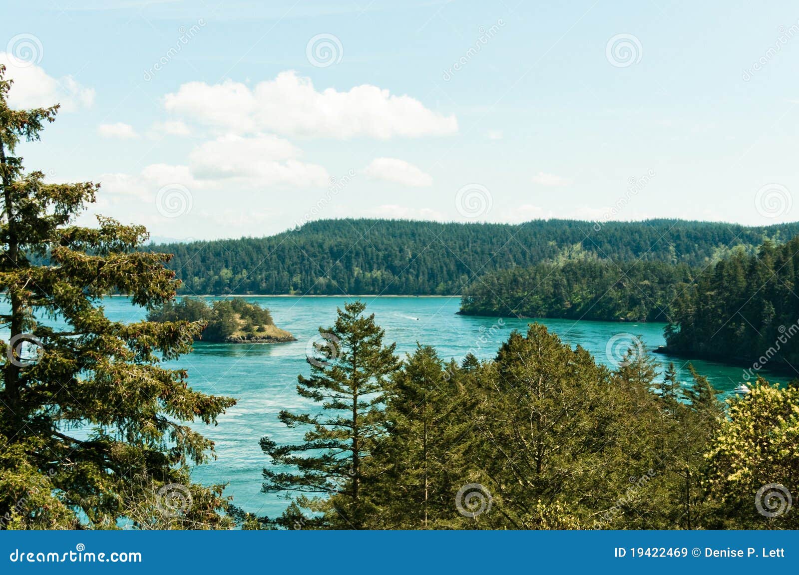 Forested Coastline with Islands Stock Image - Image of background ...