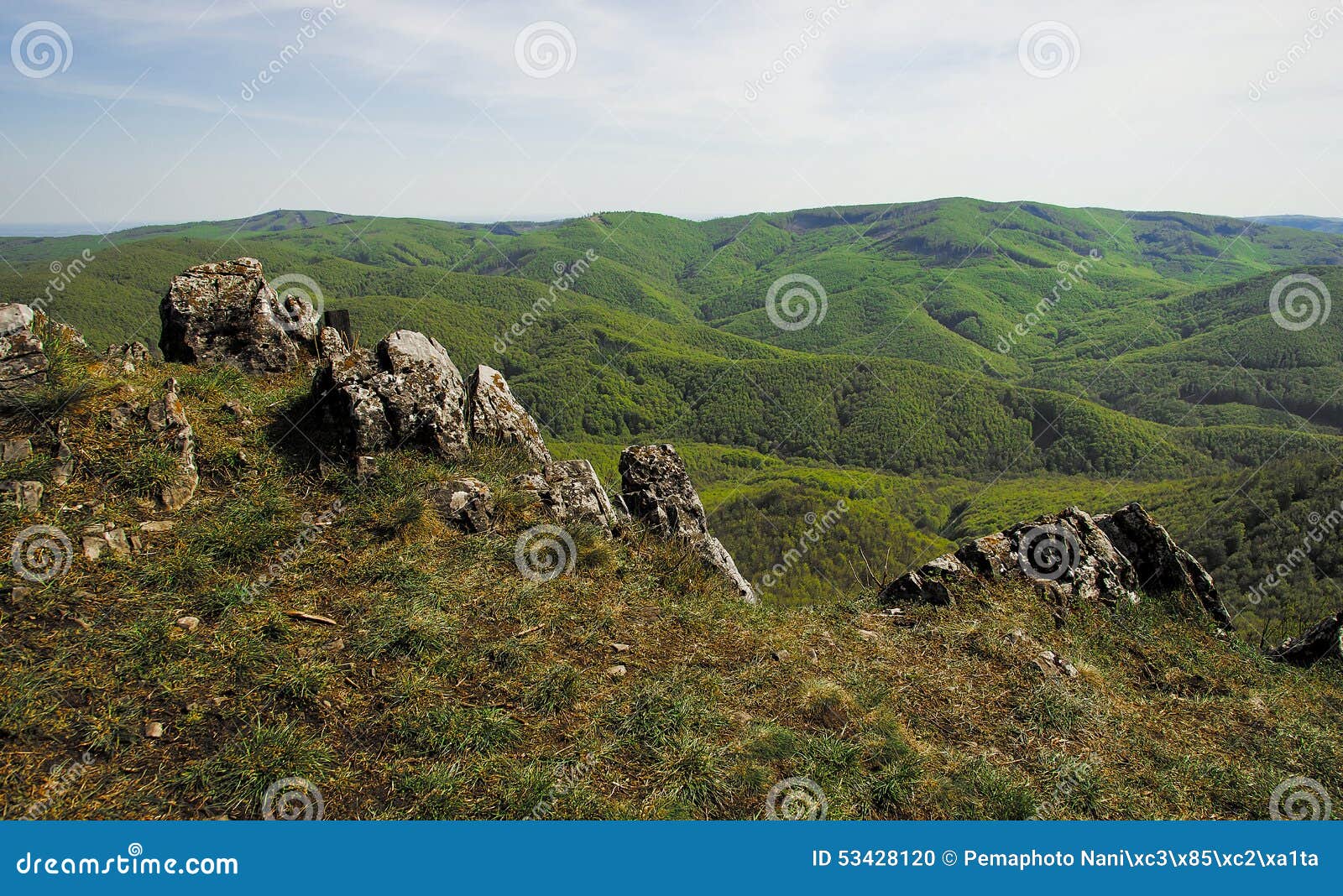Forested Hills Valley with Rocks Stock Photo - Image of garden, valley ...