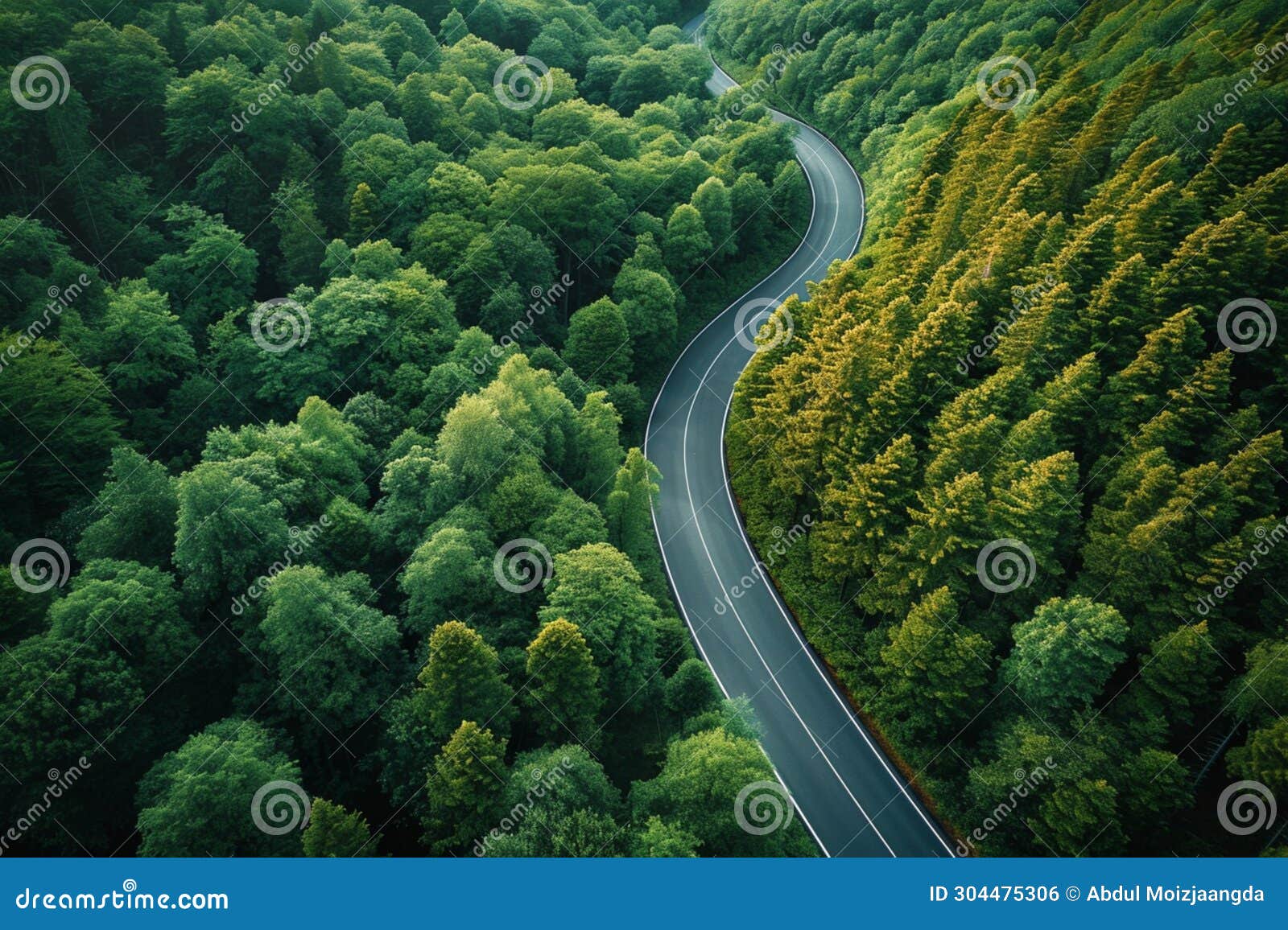 Forested Landscape Unfolds Beneath As a Sinuous Road Curves Gracefully ...