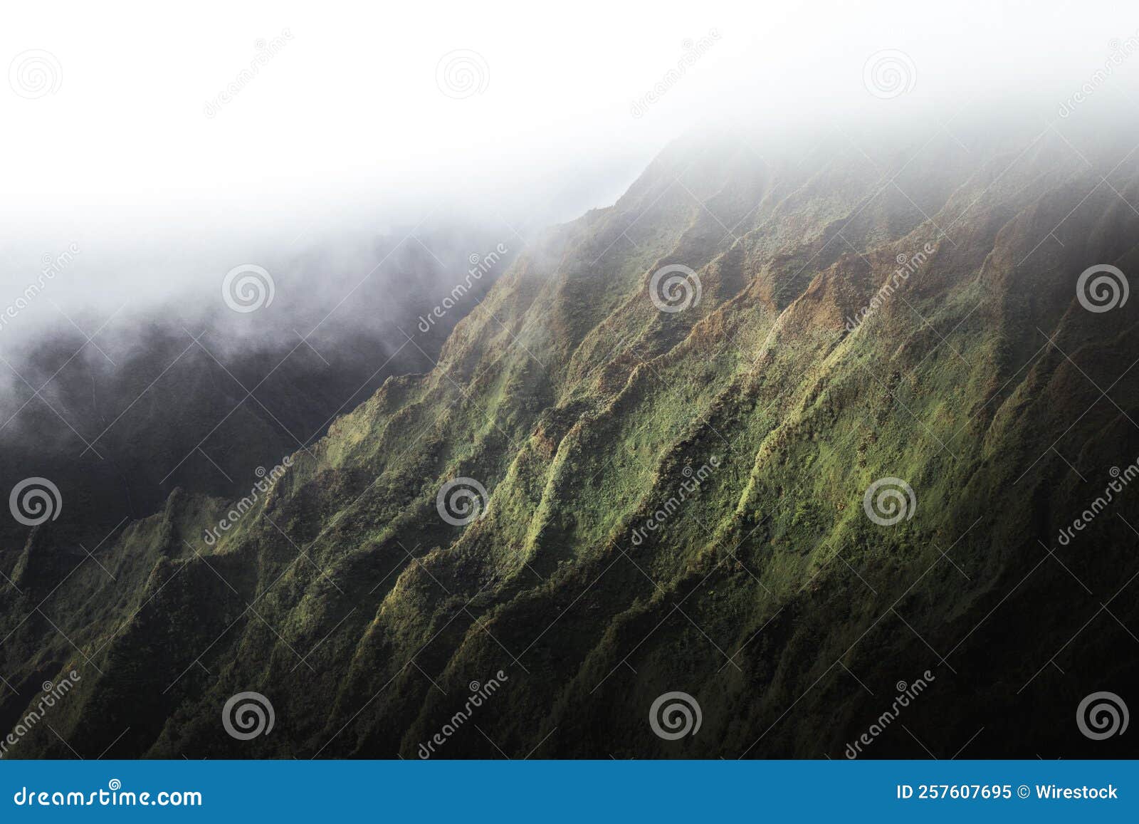 Forested Mountain in Mist - Perfect for Wallpaper Stock Image - Image ...