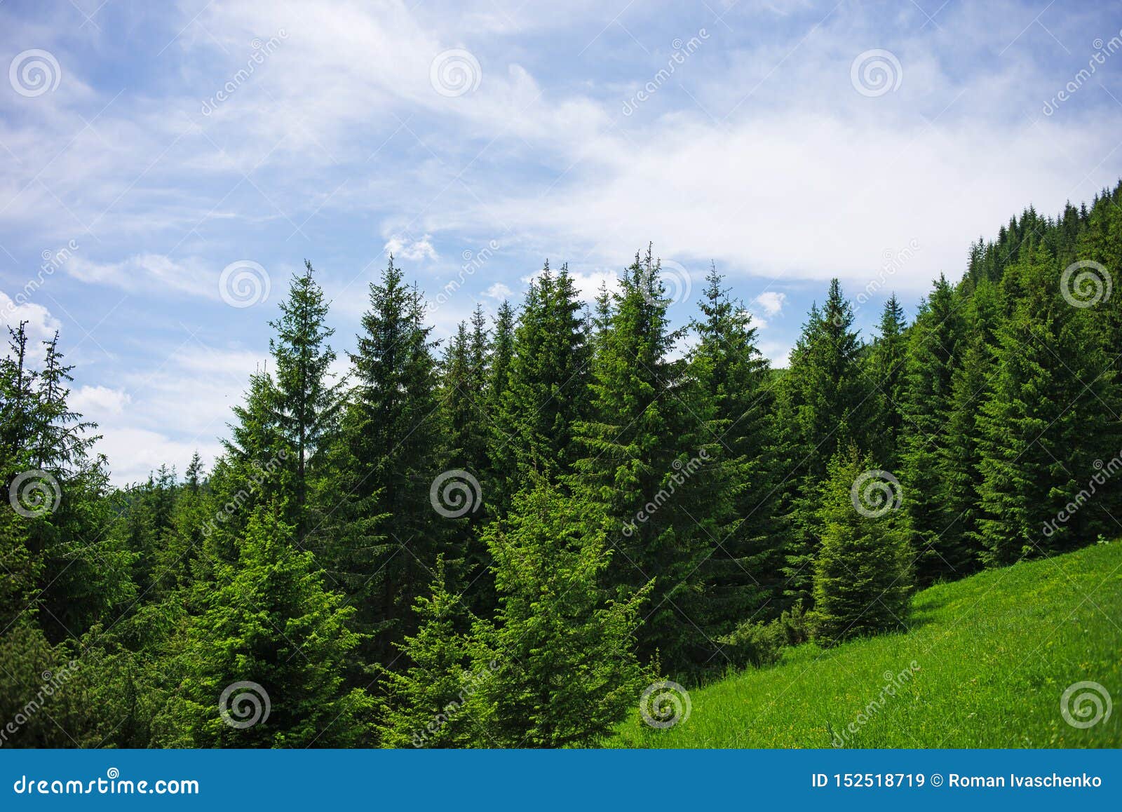 Forested Mountains in a Scenic Landscape View Forested Hill in a Scenic ...