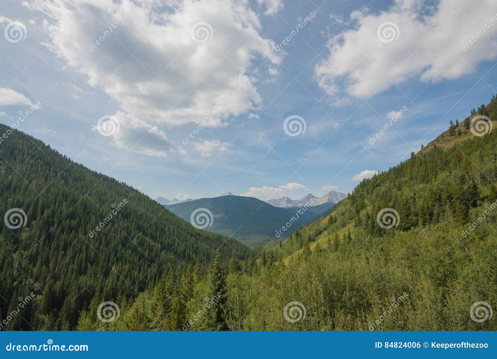 Forested Valley stock photo. Image of range, valley, outdoors - 84824006