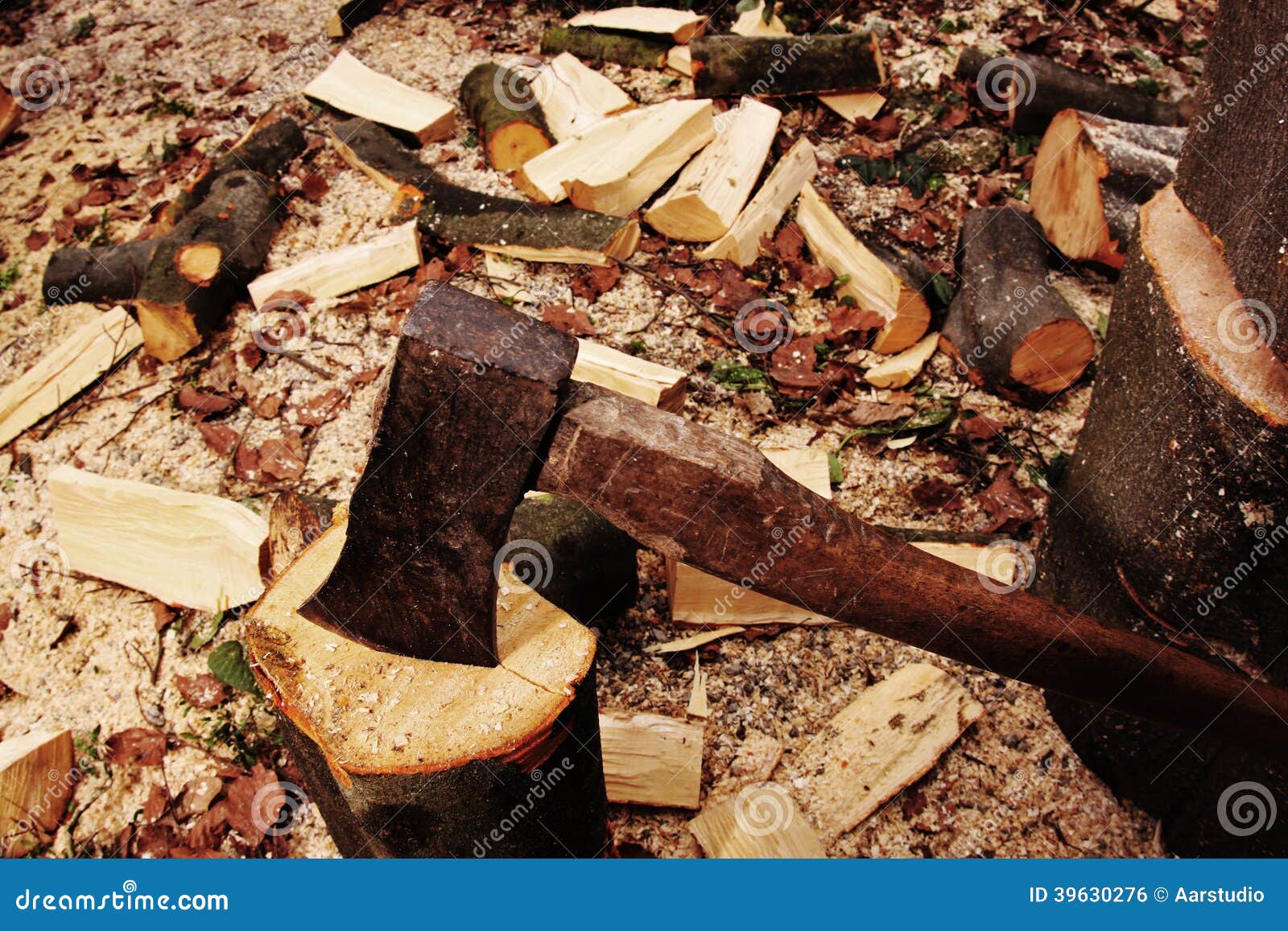 Forester Chopping Wood with an Axe Stock Photo - Image of wood, hard ...
