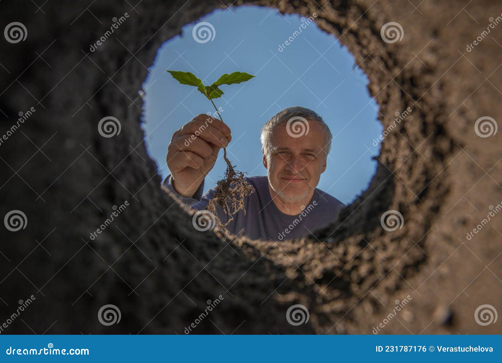 Forester Holding Tree Seedling - Planting Stock Photo - Image of fresh ...