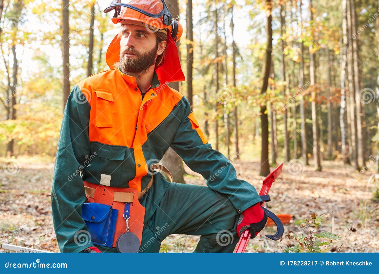 Forester and Lumberjack in Protective Gear Stock Image - Image of ...